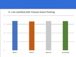 Results - Trauma Smart